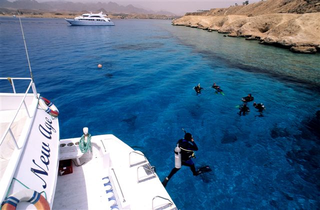 Egypt: Dive Guide – Luxe Surf Style