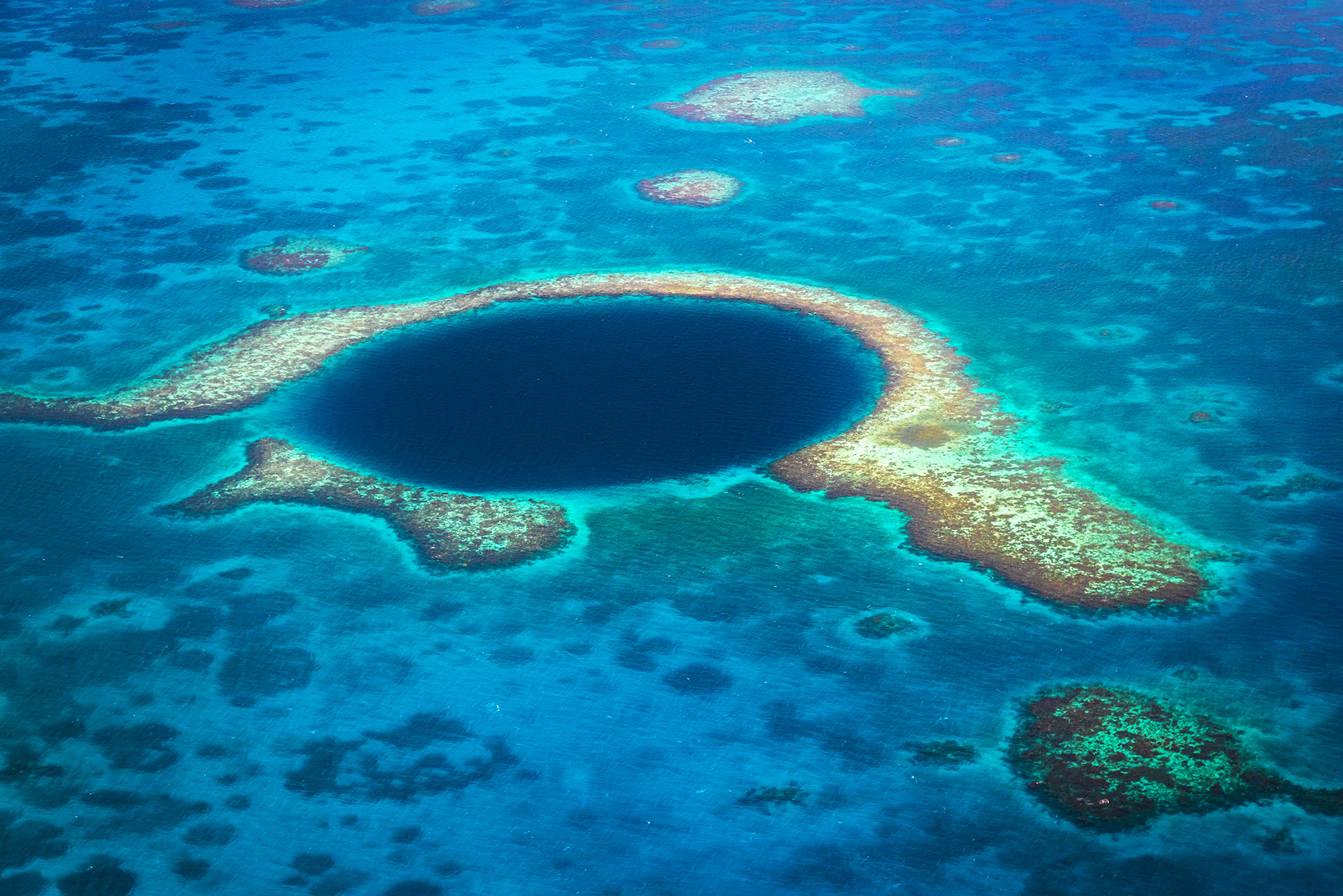 The Ultimate Belize Dive Guide – Luxe Surf Style